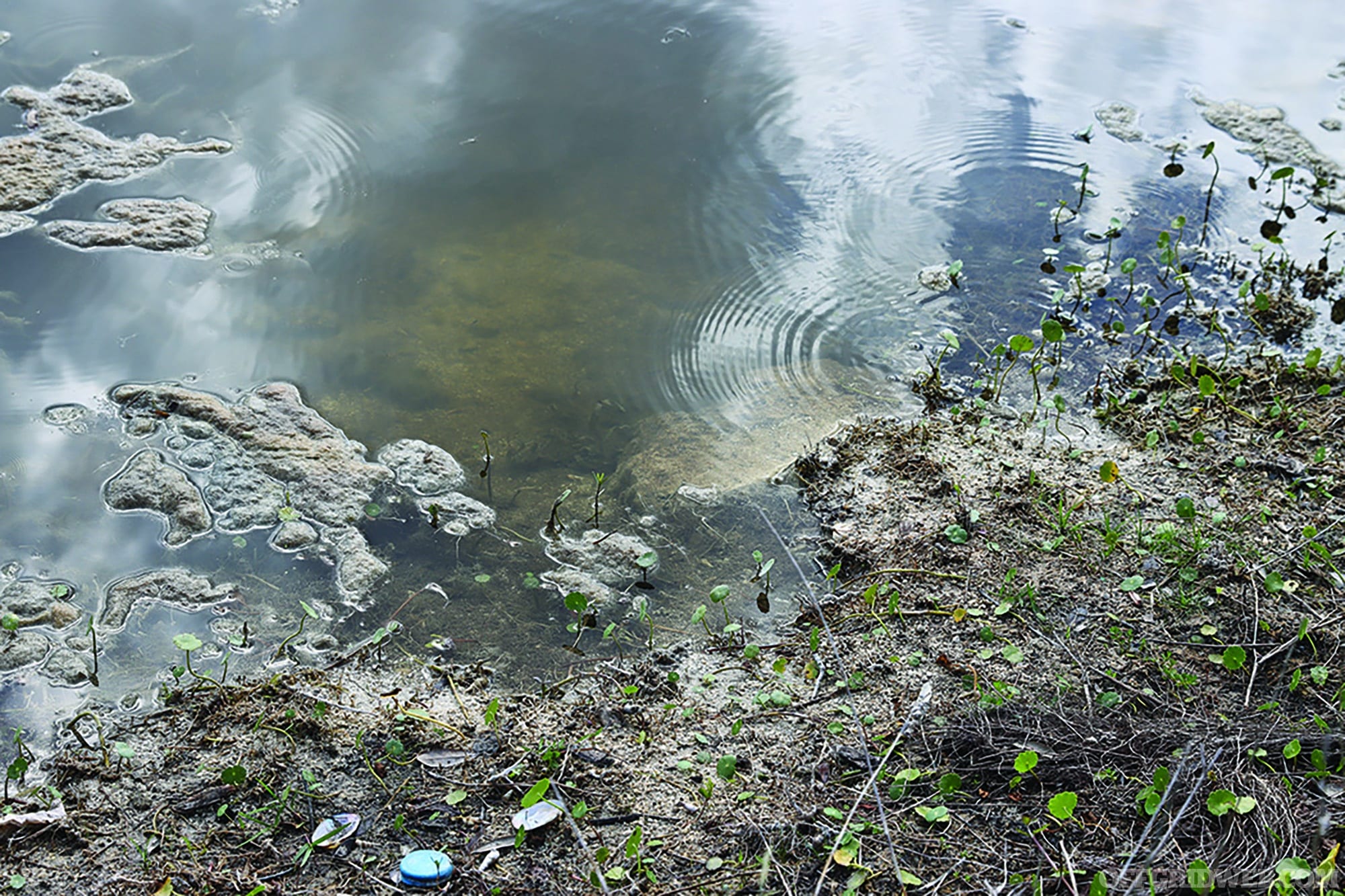 Water Purification: Common Contaminants and Methods to Eliminate Them ...