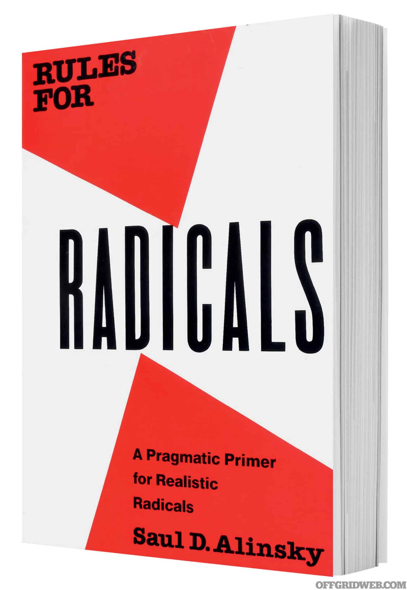 Book Review: "Rules for Radicals: A Pragmatic Primer for Realistic ...
