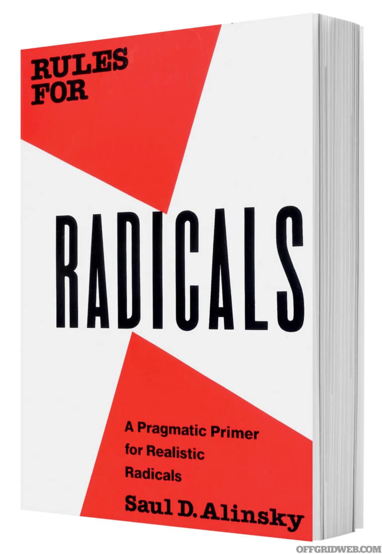 Book Review: "Rules for Radicals: A Pragmatic Primer for Realistic ...