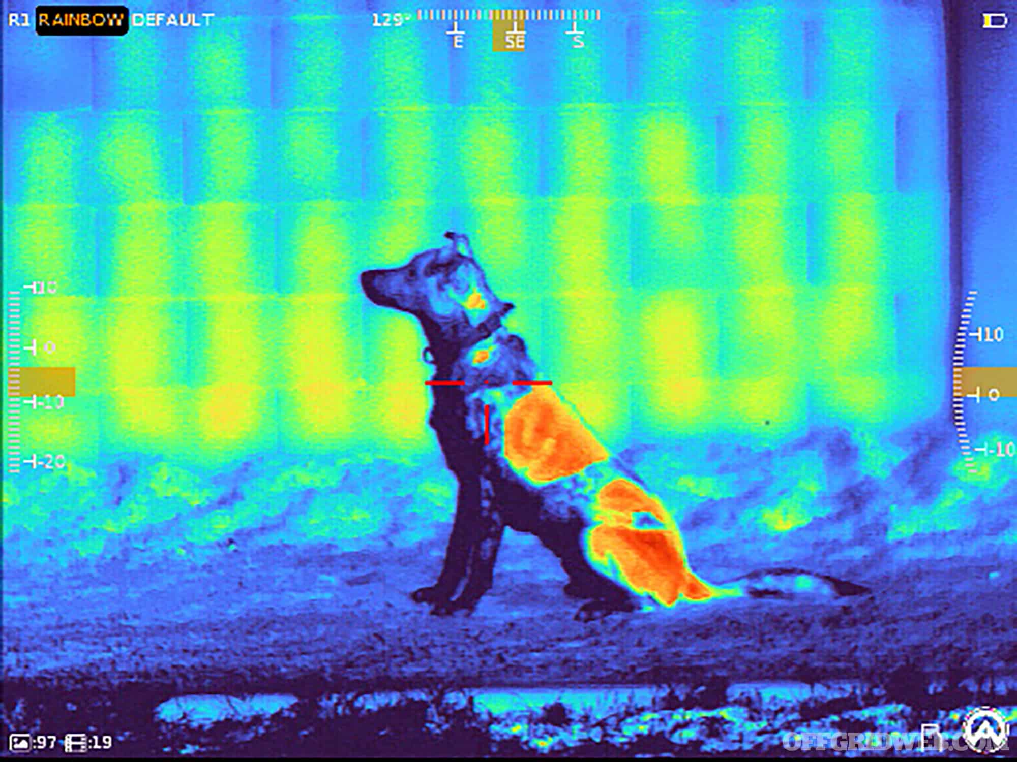 Discover Thermal Optics: The Superpower of Apex Predators | RECOIL OFFGRID