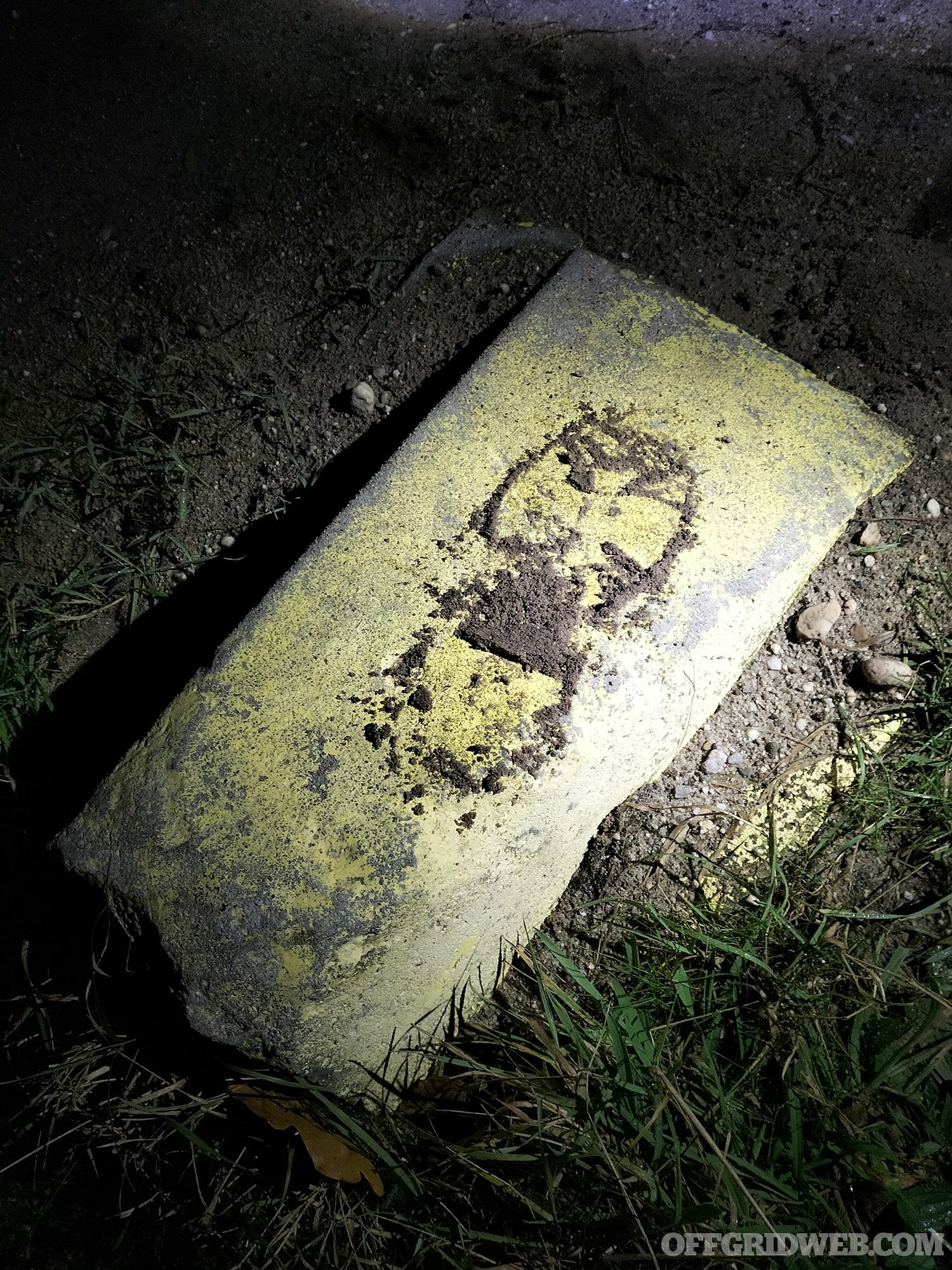 Best Flashlights For Tracking Man and Beast | RECOIL OFFGRID