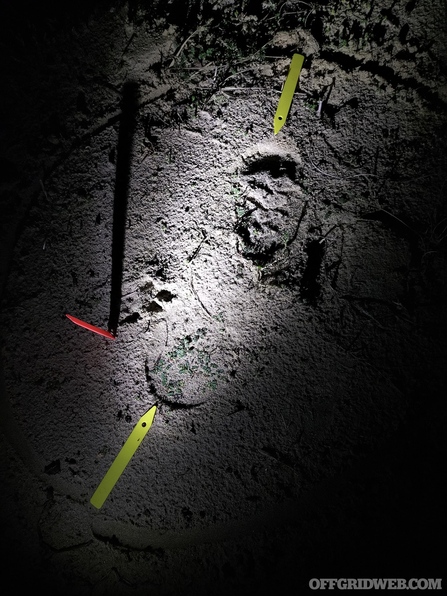 Best Flashlights For Tracking Man and Beast | RECOIL OFFGRID