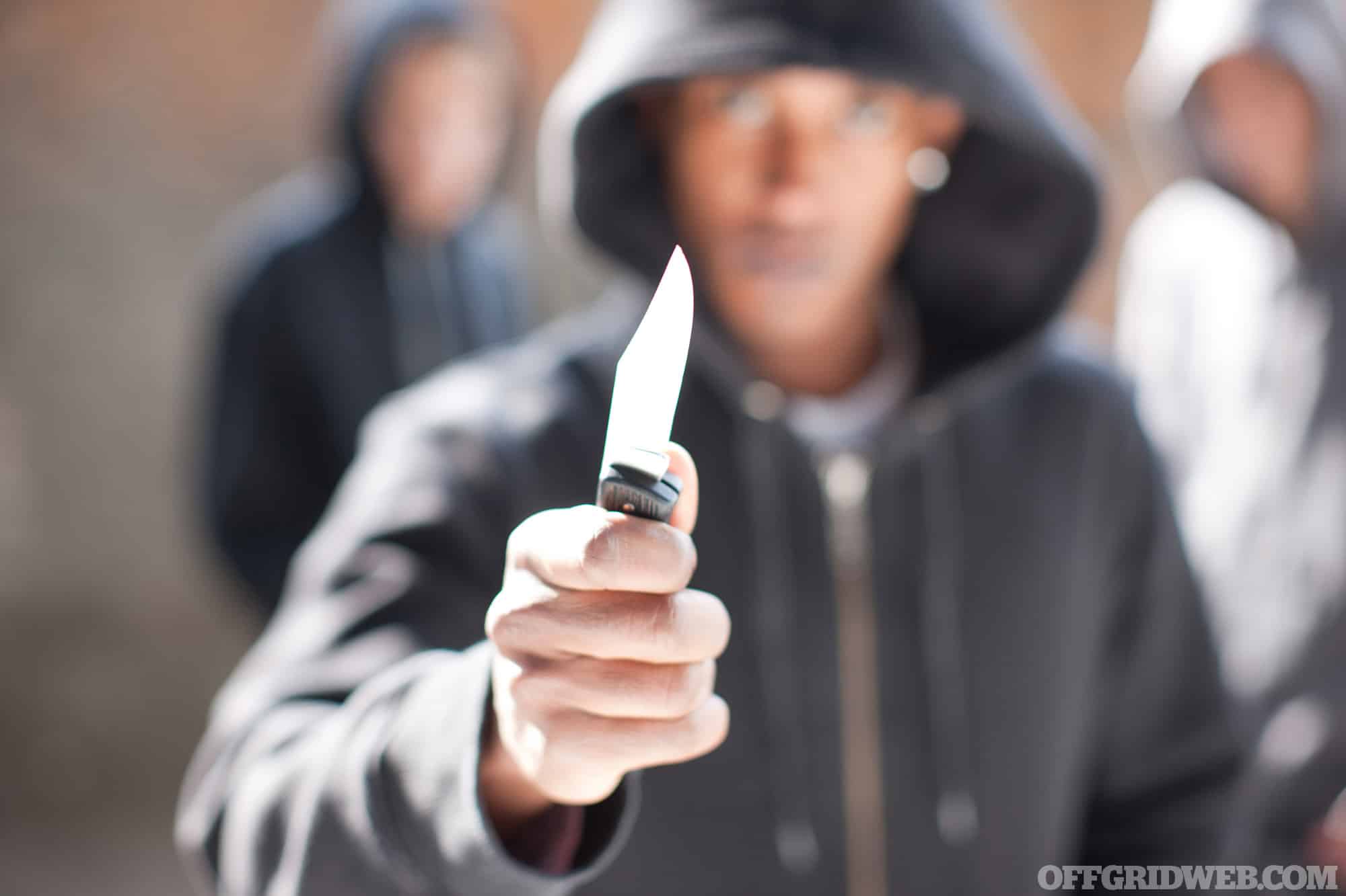 Adversarial Mindset: Understand Criminals and Their Motivations ...