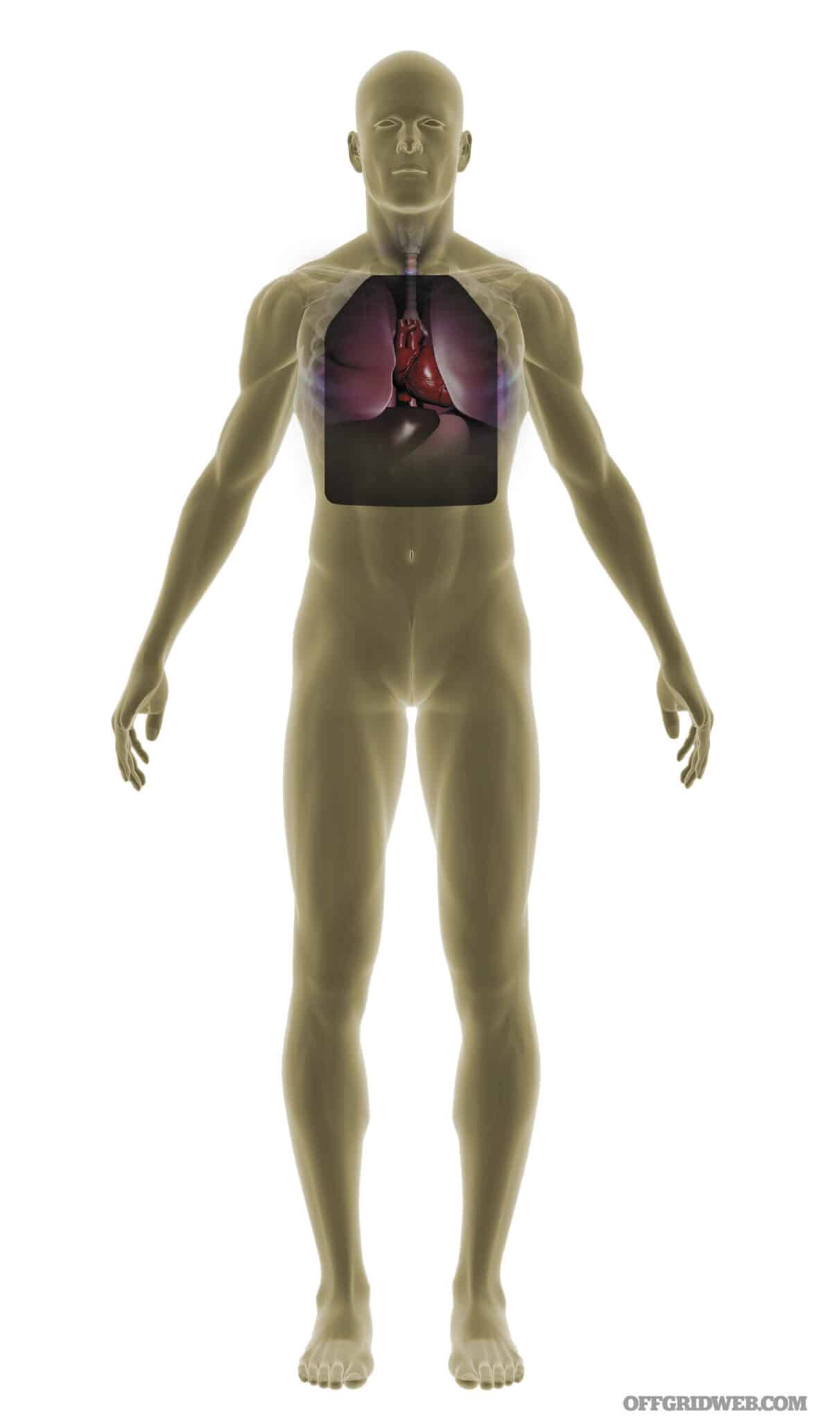 Projectile Protectors - Part I: Armor Plates | RECOIL OFFGRID