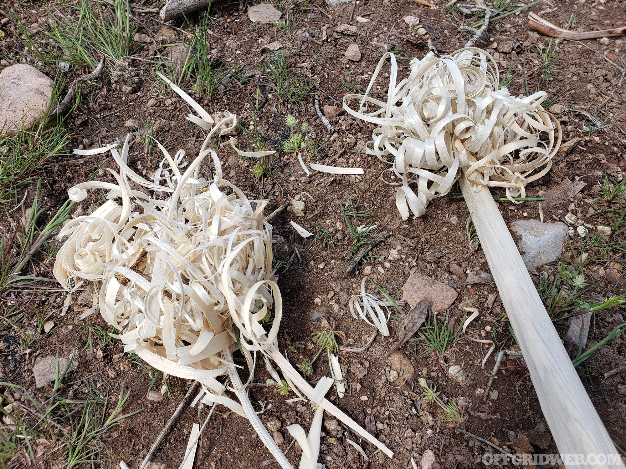 The 10 S's of Fire Starting | RECOIL OFFGRID