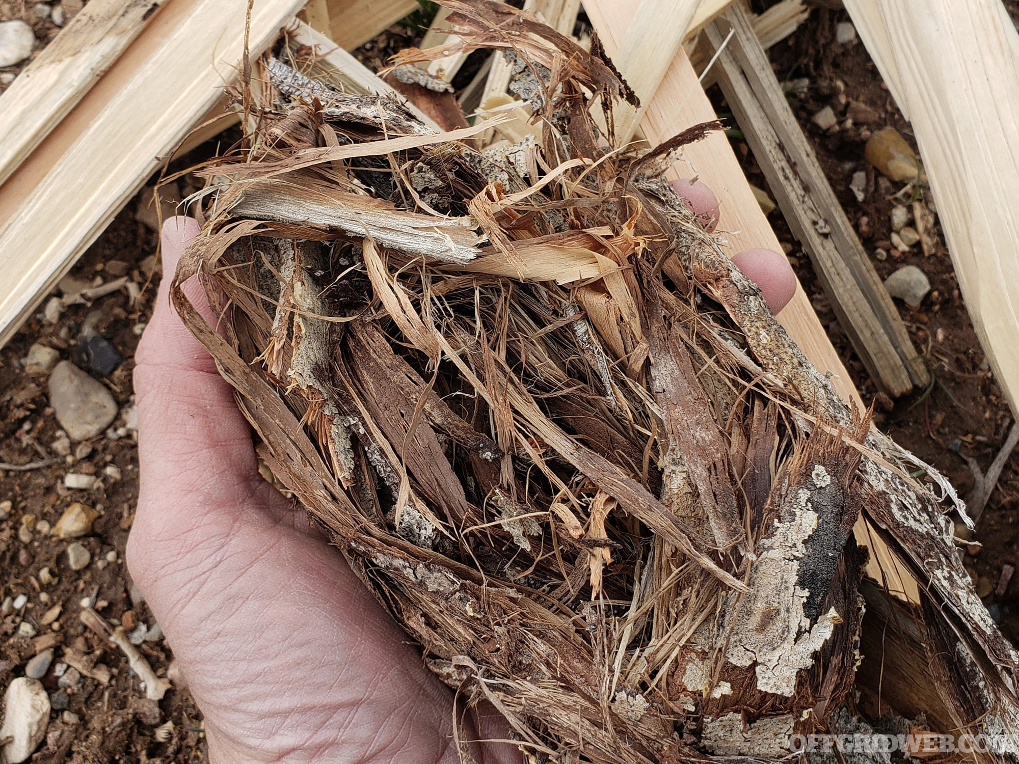 The 10 S's of Fire Starting | RECOIL OFFGRID