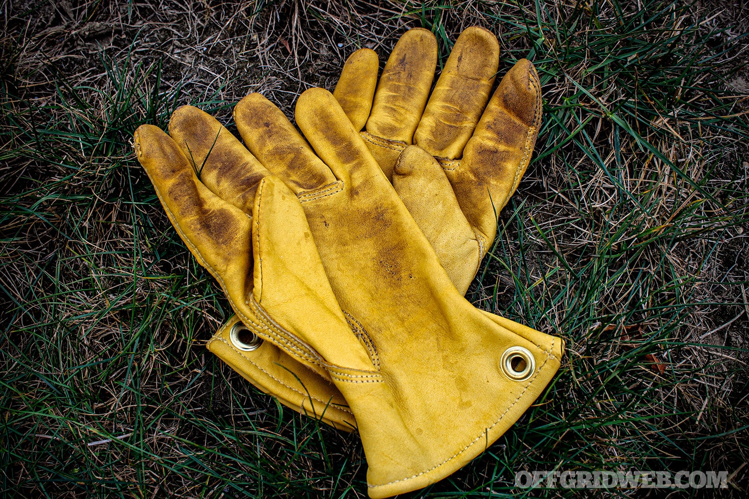 Bushcraft Gear For The Georgia Bushcraft Fall Gathering | RECOIL OFFGRID