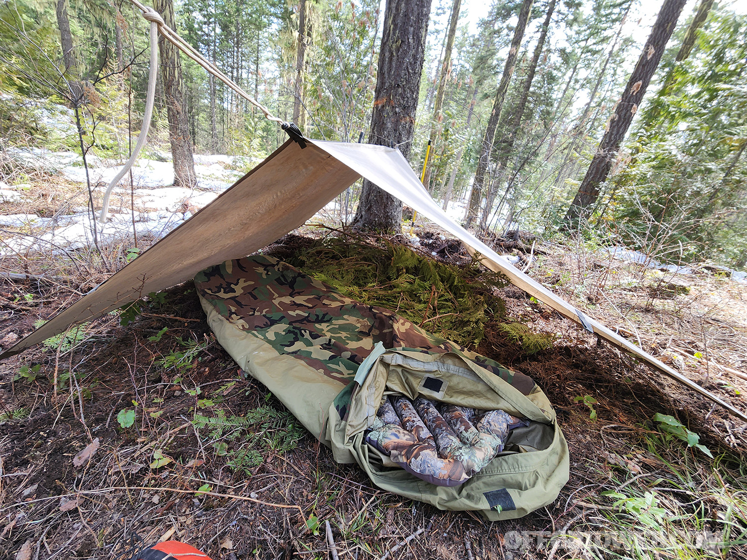 Phases of Survival Evasion | RECOIL OFFGRID