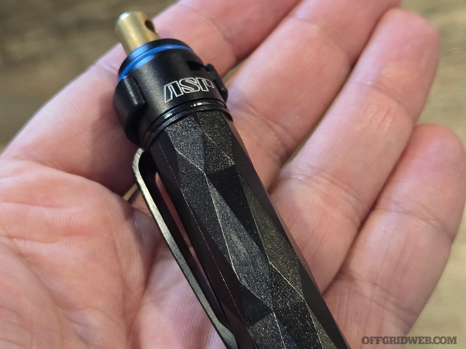 ASP Defender OC Spray Review | RECOIL OFFGRID